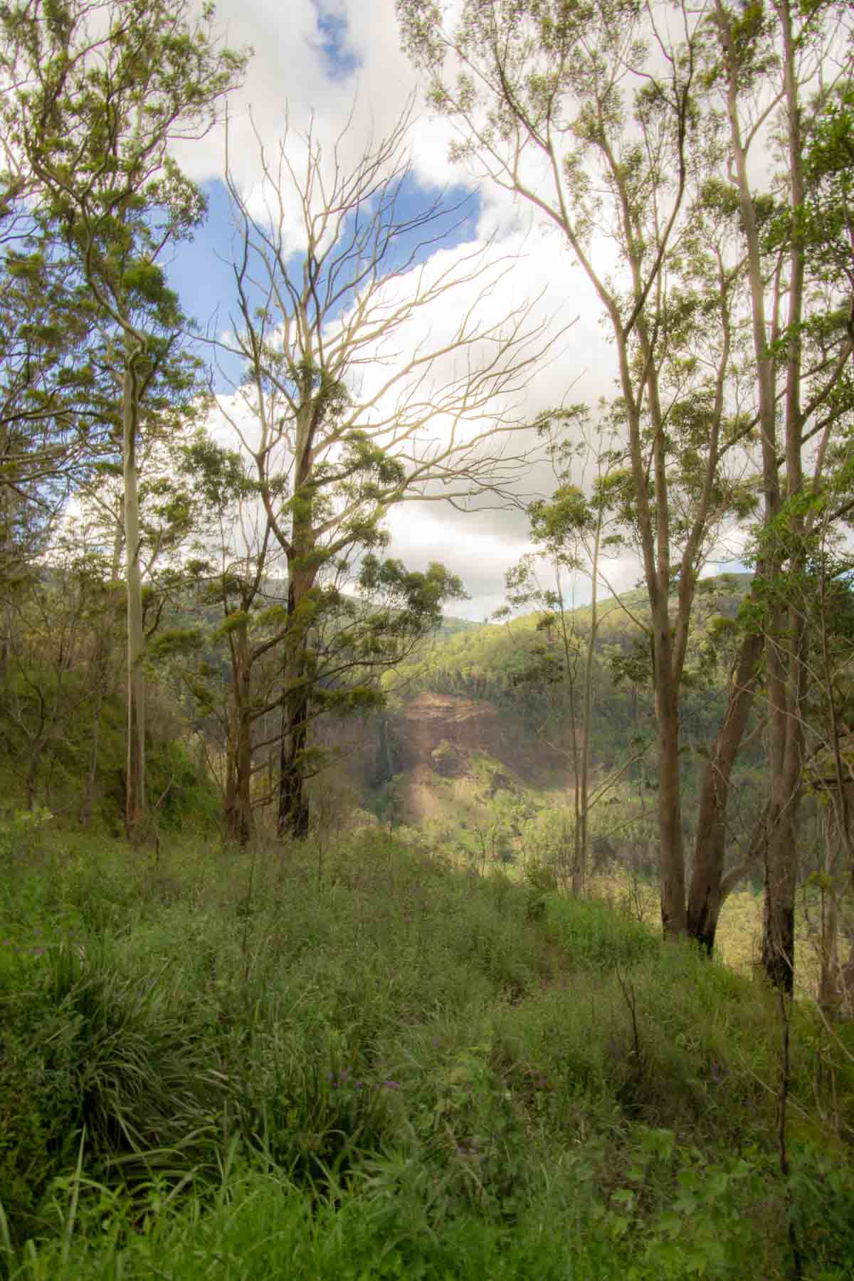 The Falls Drive: Killarney to Boonah - Adventure Basics