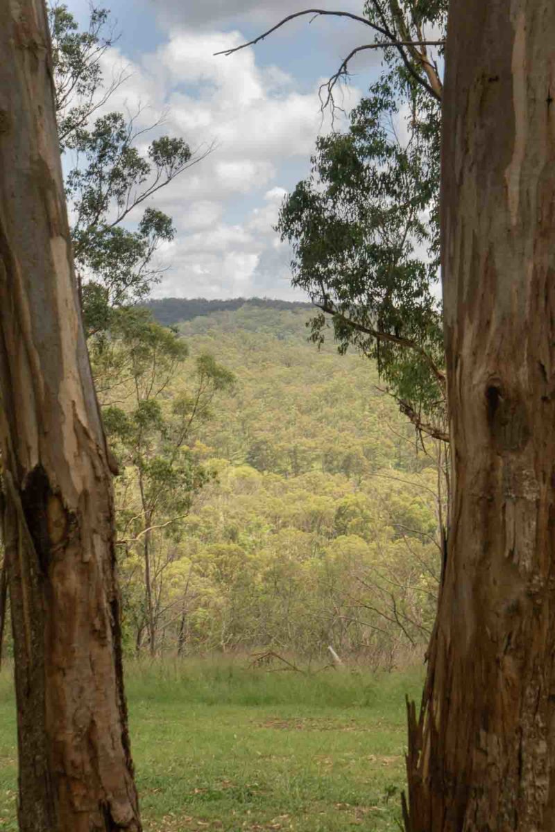 The Falls Drive: Killarney to Boonah - Adventure Basics