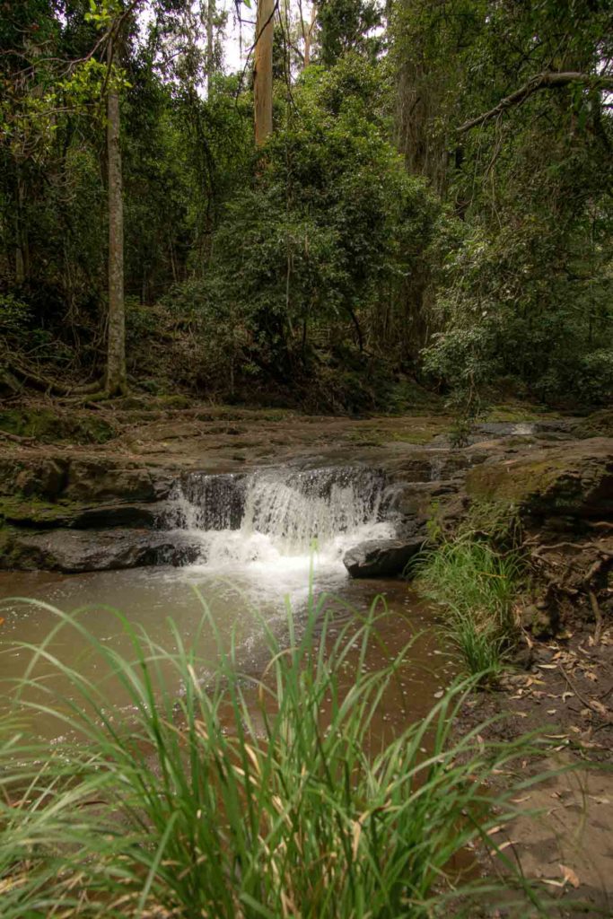 The Falls Drive: Killarney to Boonah - Adventure Basics