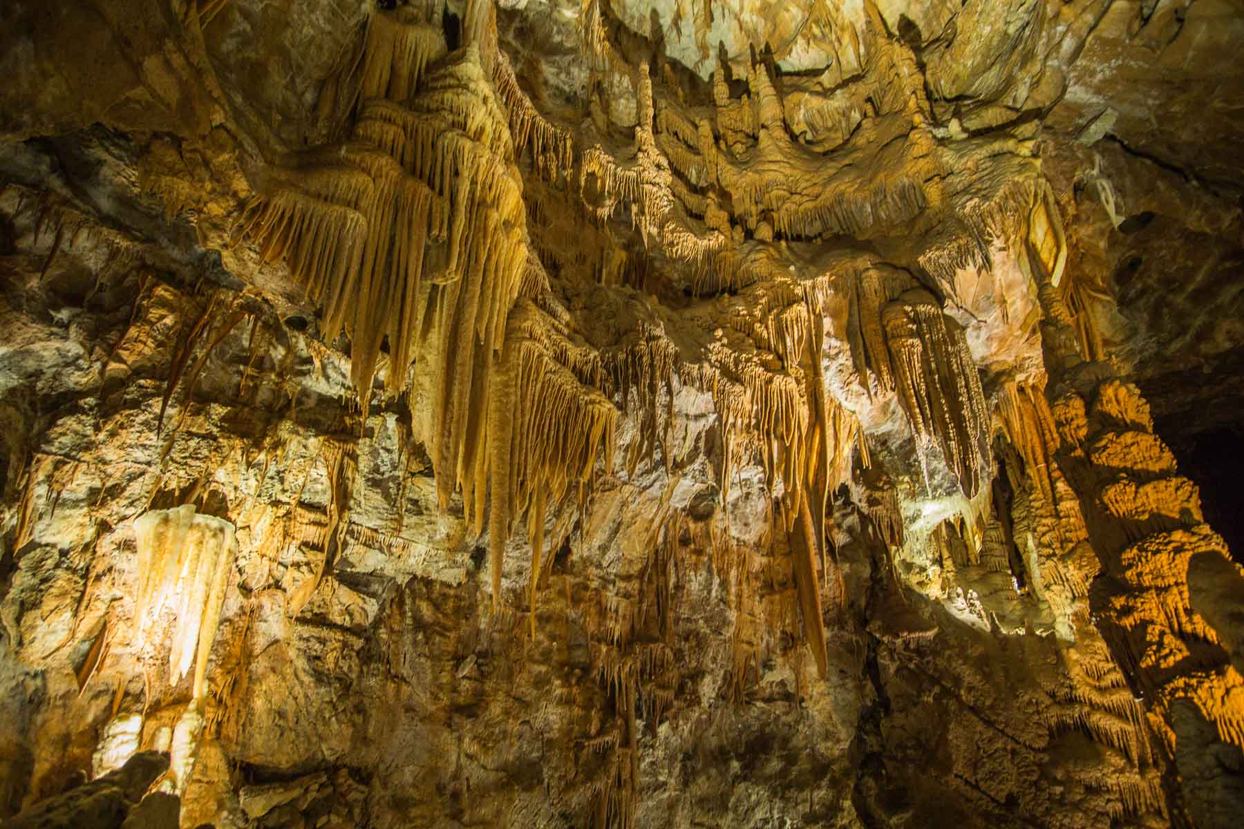 Exploring Jenolan Caves - Adventure Basics