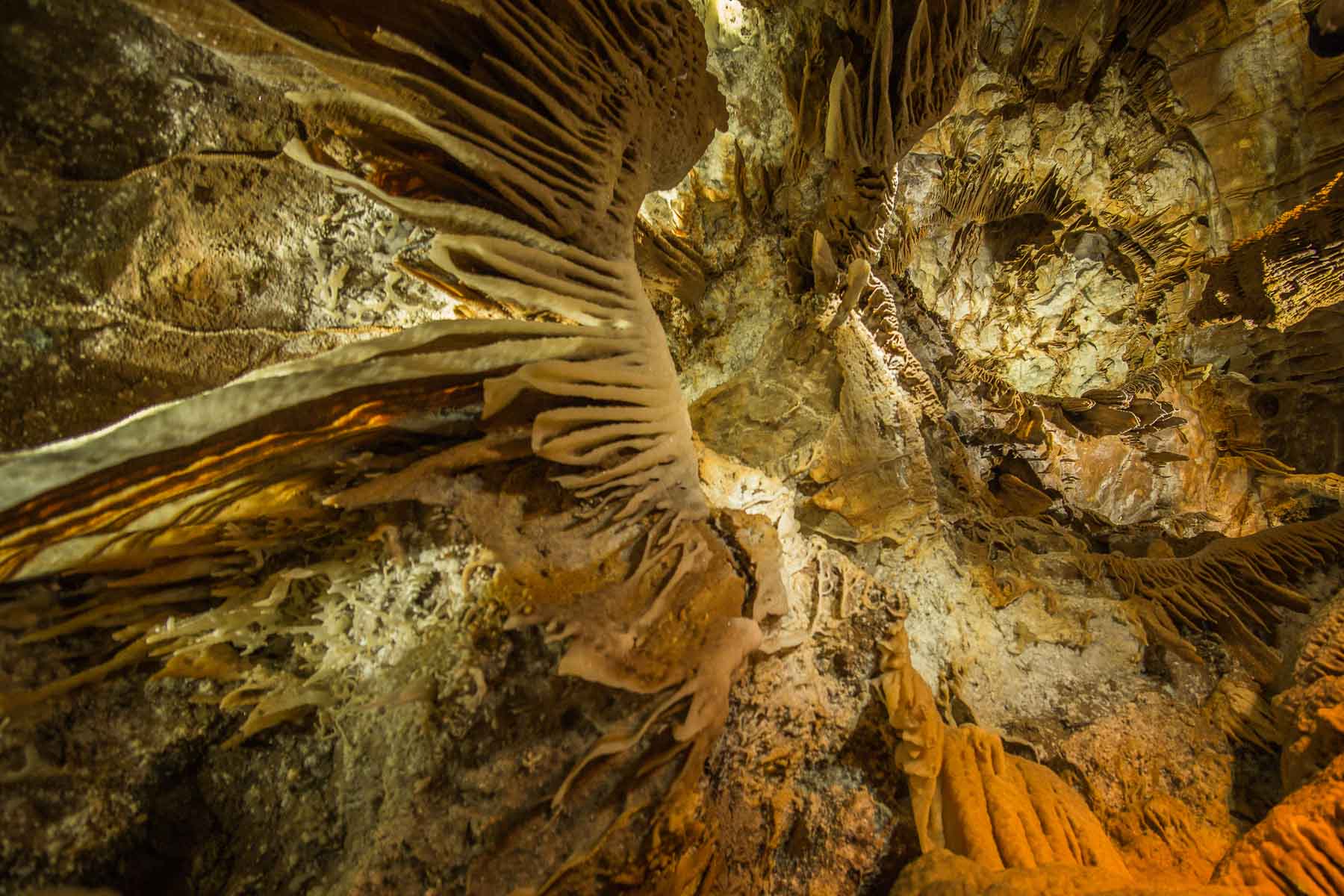 Exploring Jenolan Caves - Adventure Basics