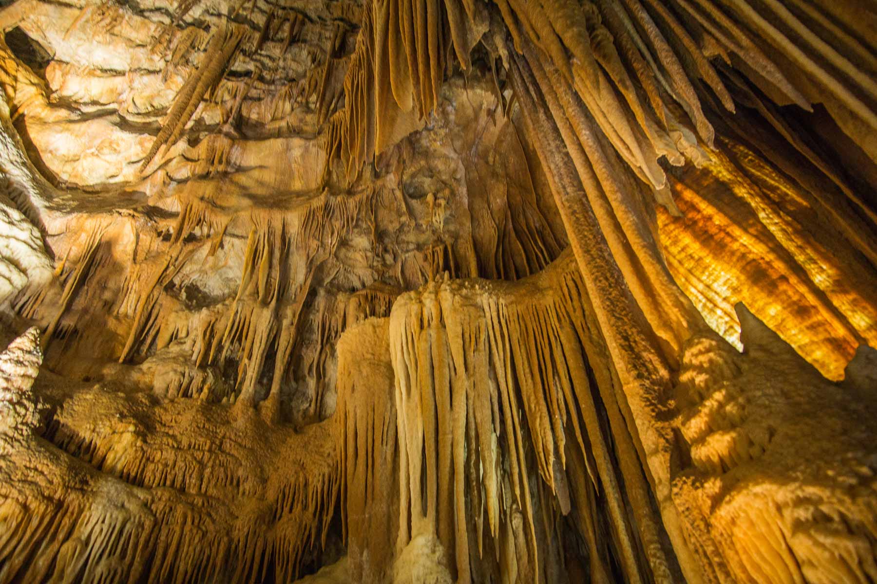 Exploring Jenolan Caves - Adventure Basics