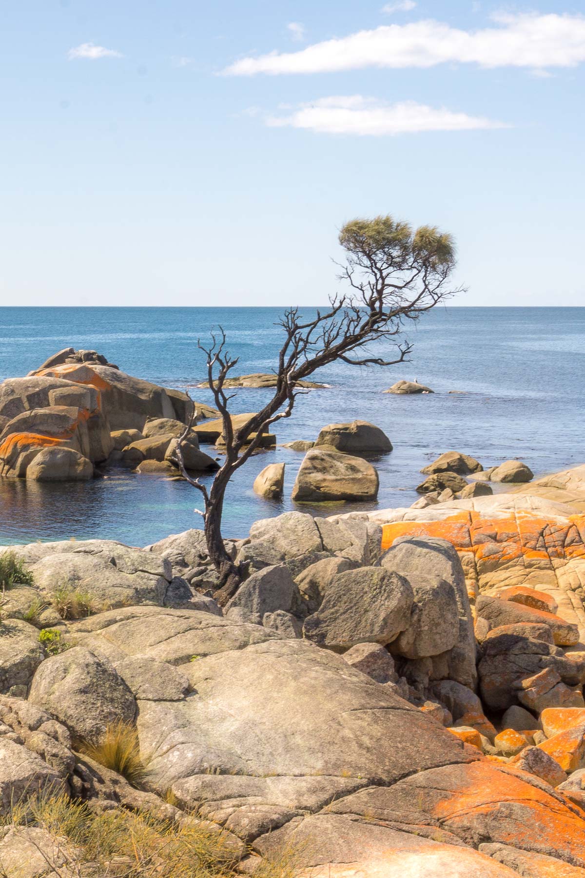 Binalong Bay & The Bay of Fires - Adventure Basics