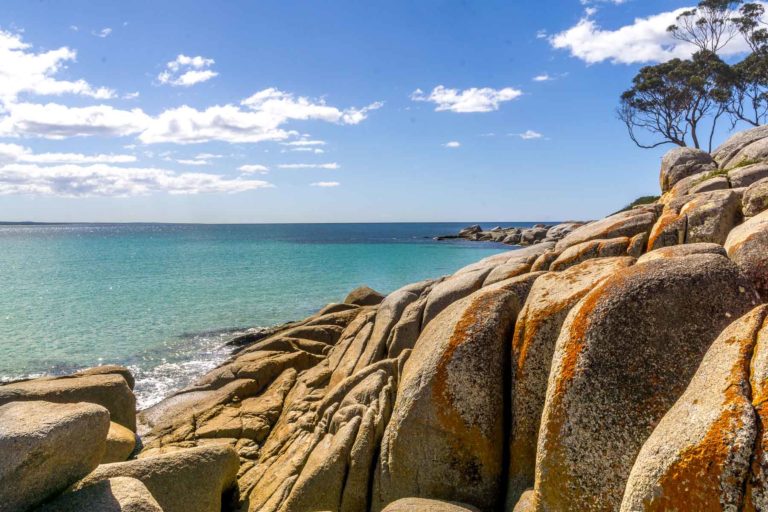 Binalong Bay & The Bay of Fires - Adventure Basics