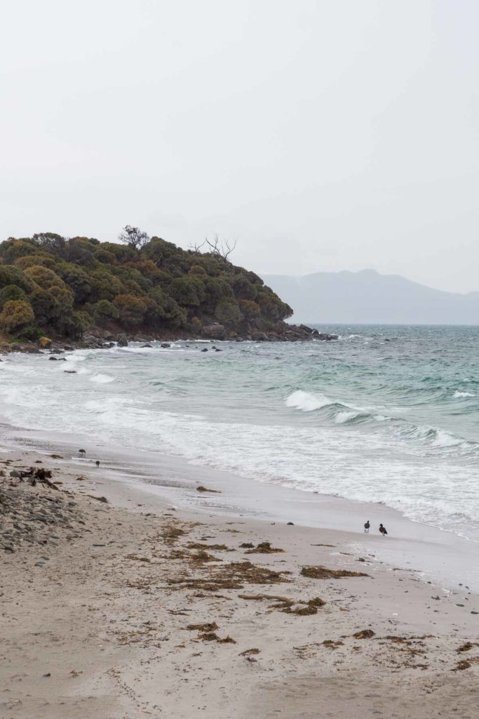 Maria Island Day Trip In The Rain - Adventure Basics
