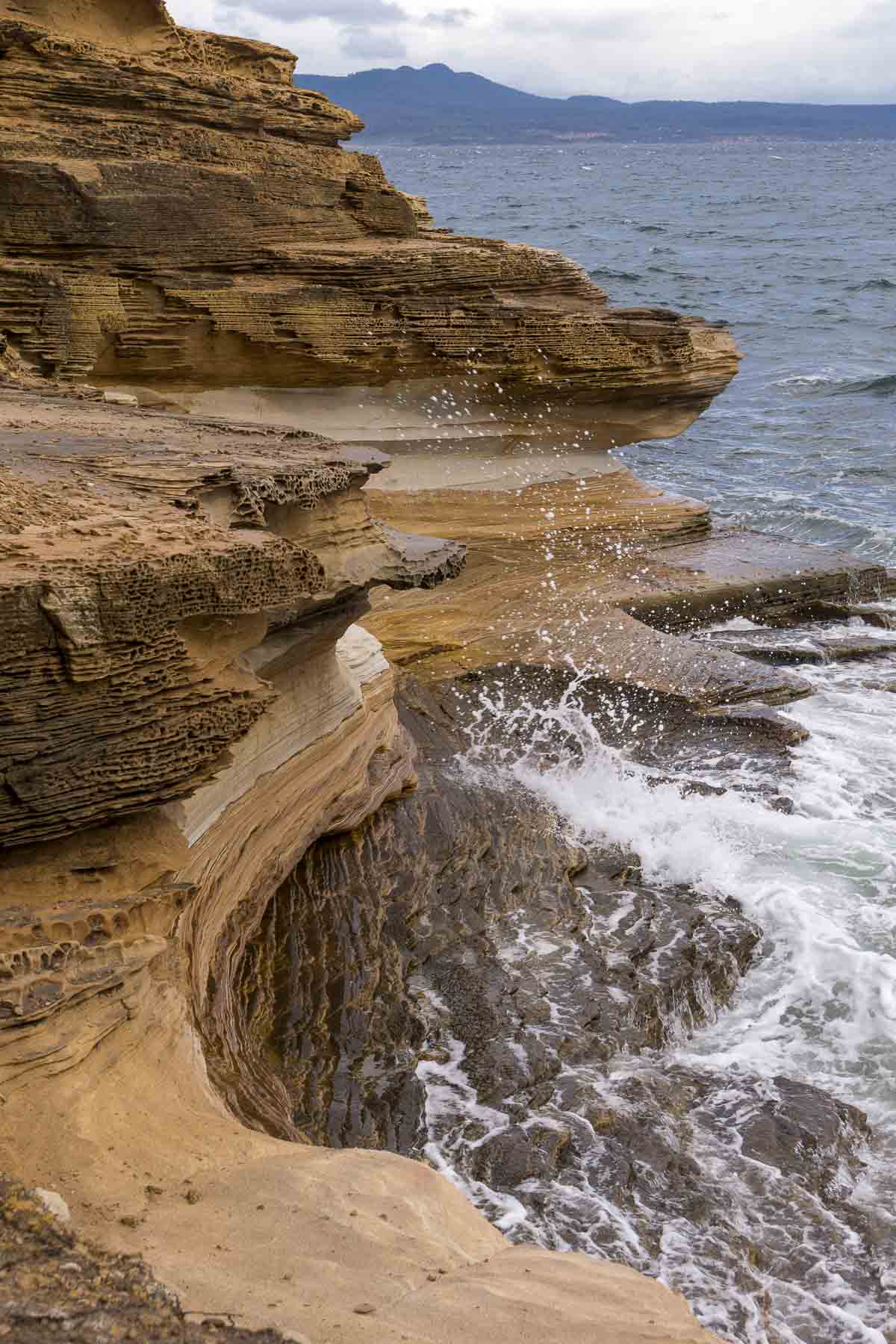 Maria Island Day Trip In The Rain - Adventure Basics