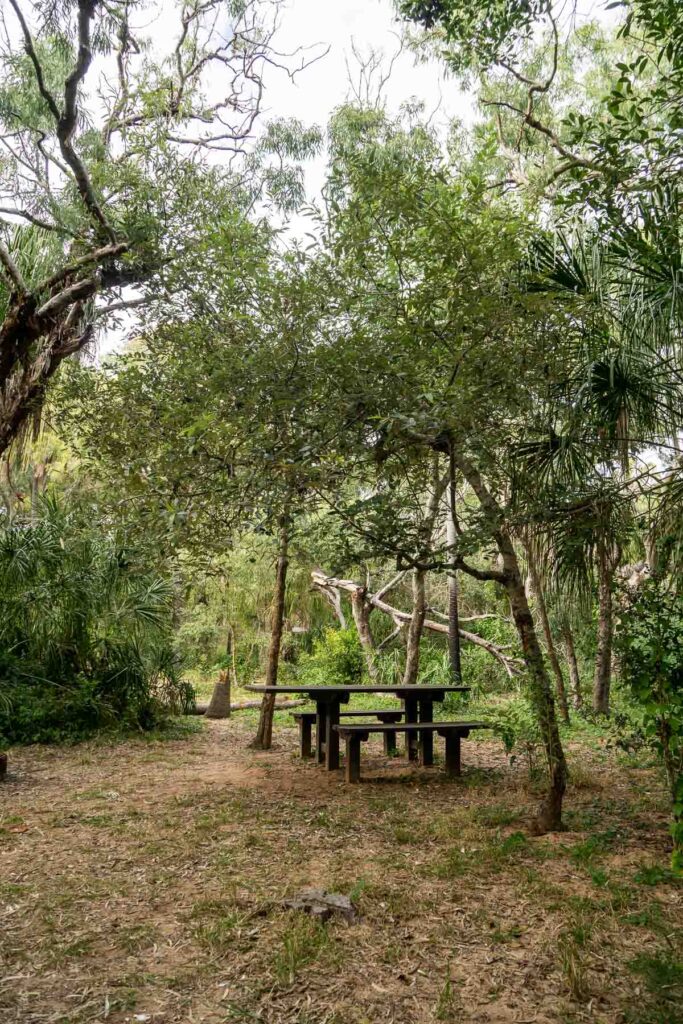 Camping at Deepwater National Park - Adventure Basics